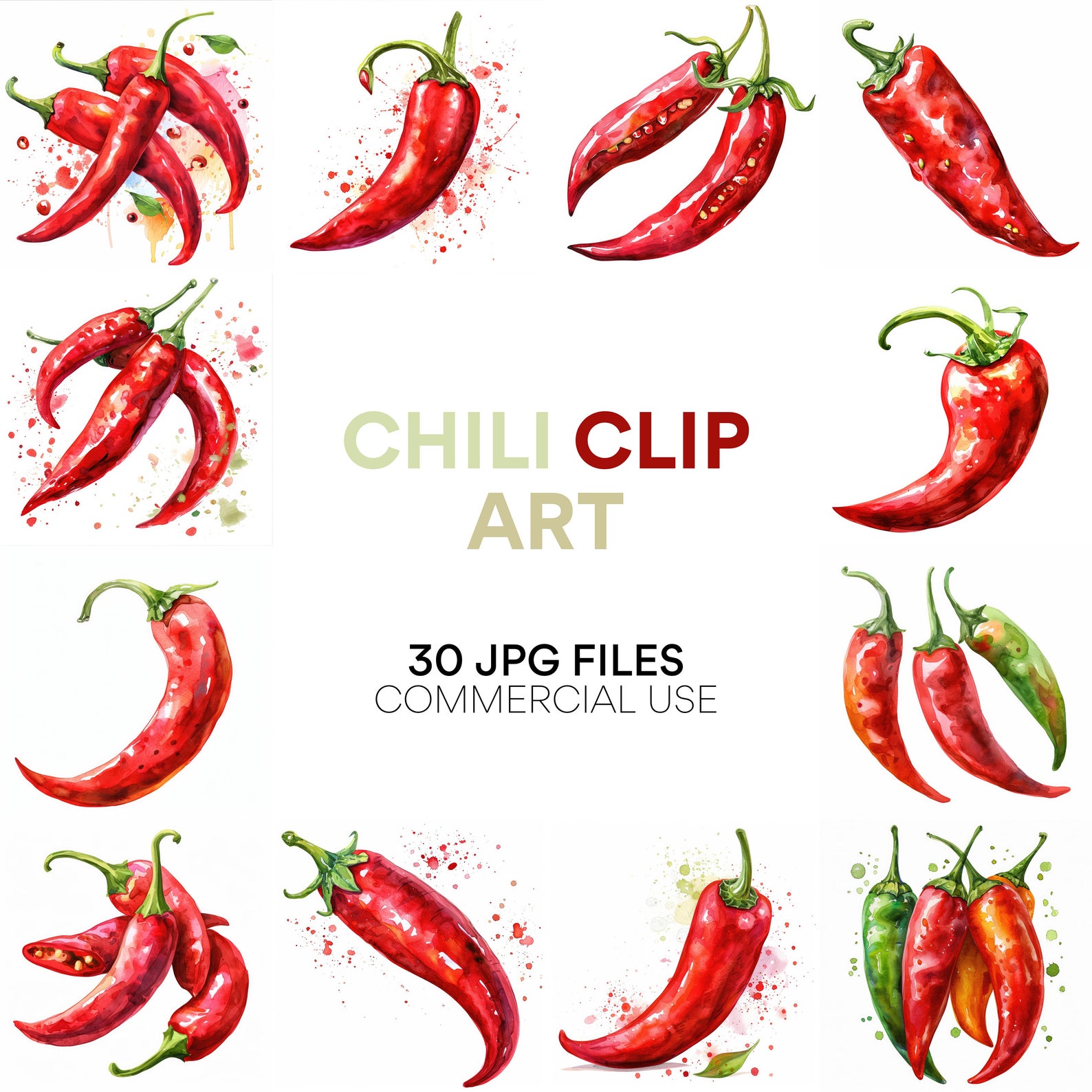 Chili Clip Art: Chili Pepper Clipart for Commercial Use Instant ...