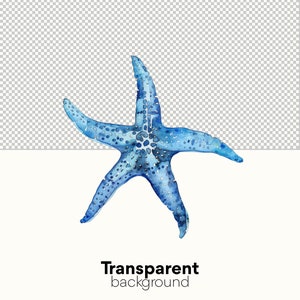 Starfish Clipart: Digital Download, Commercial Use Watercolor Starfish ...