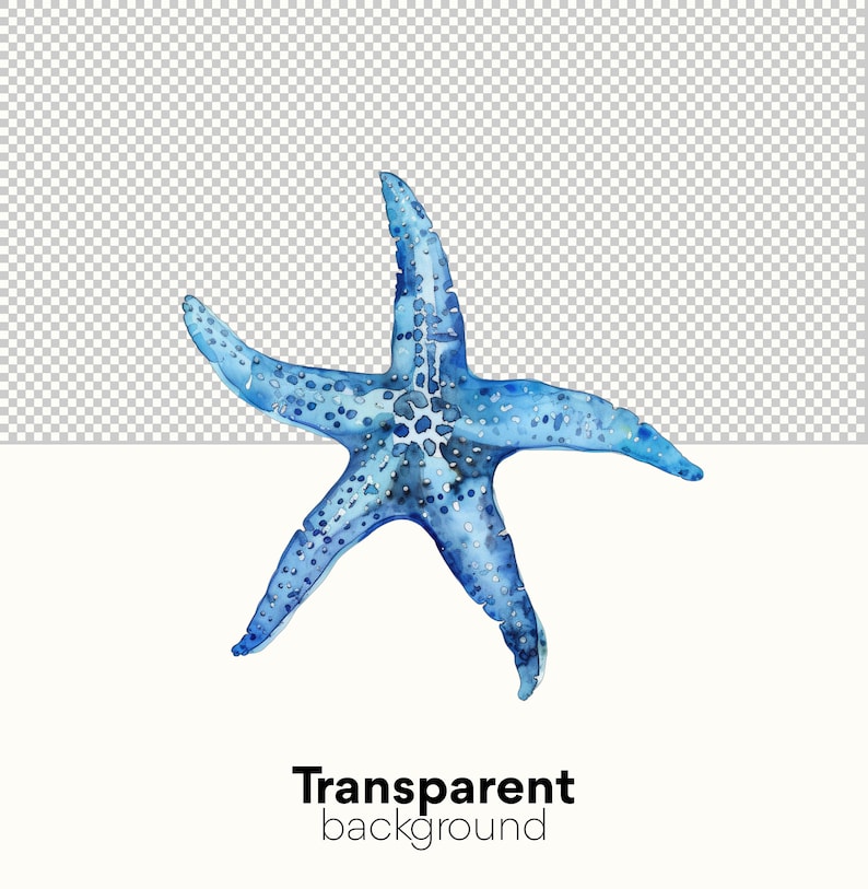 Starfish Clipart: Digital Download, Commercial Use Watercolor Starfish ...