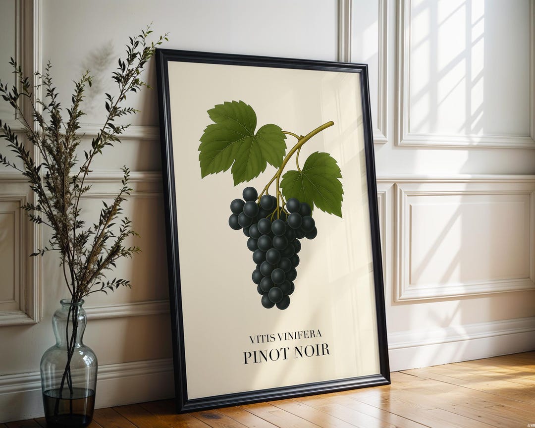 Vintage Wine Grapes Botanical Print Set: Vineyard Wall Art (digital ...