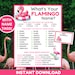 What's Your Flamingo Name Game With Name Tags + Flamingo Sign, Flamingo ...