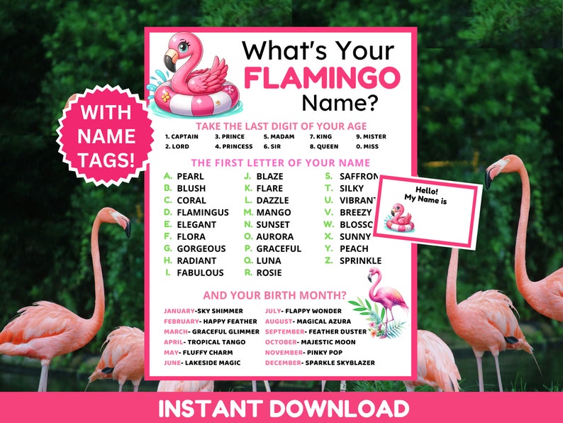 What's Your Flamingo Name Game With Name Tags + Flamingo Sign, Flamingo ...