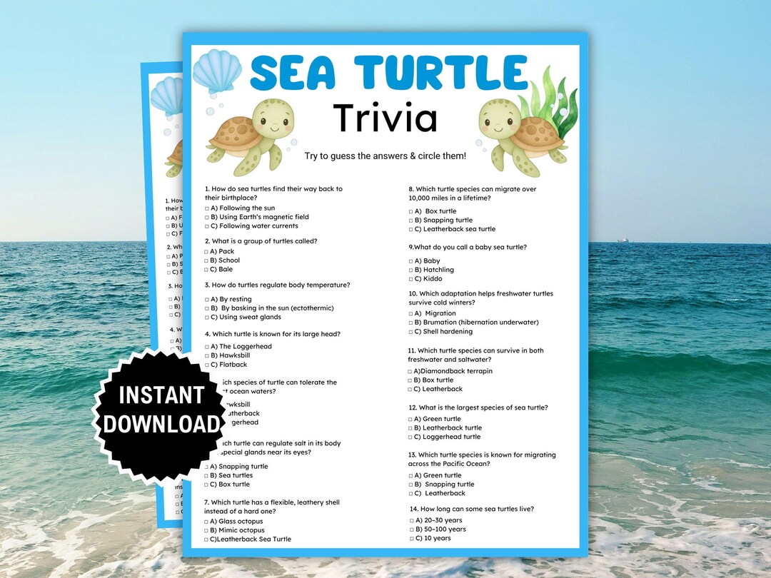 Sea Turtle Trivia Game, Turtle Activity, Under the Sea Games, Ocean ...
