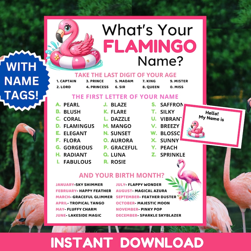 Flamingo Baby - Etsy