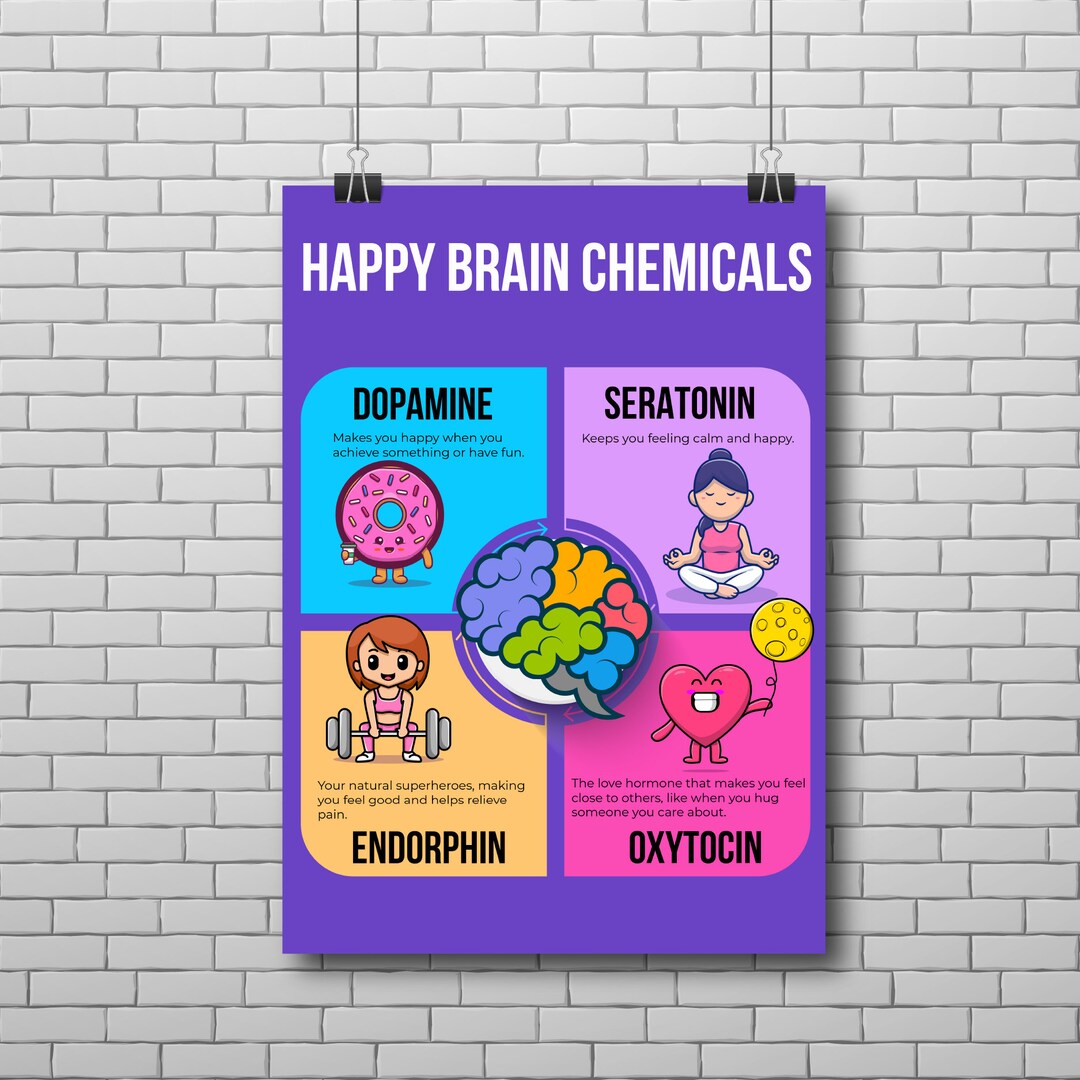 Happy Brain Chemicals, Science Poster, Classroom Decor, Brain Facts ...