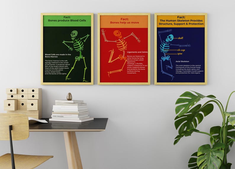 Funky Skeleton Posters, Anatomy Science Class, Teachers Resources ...