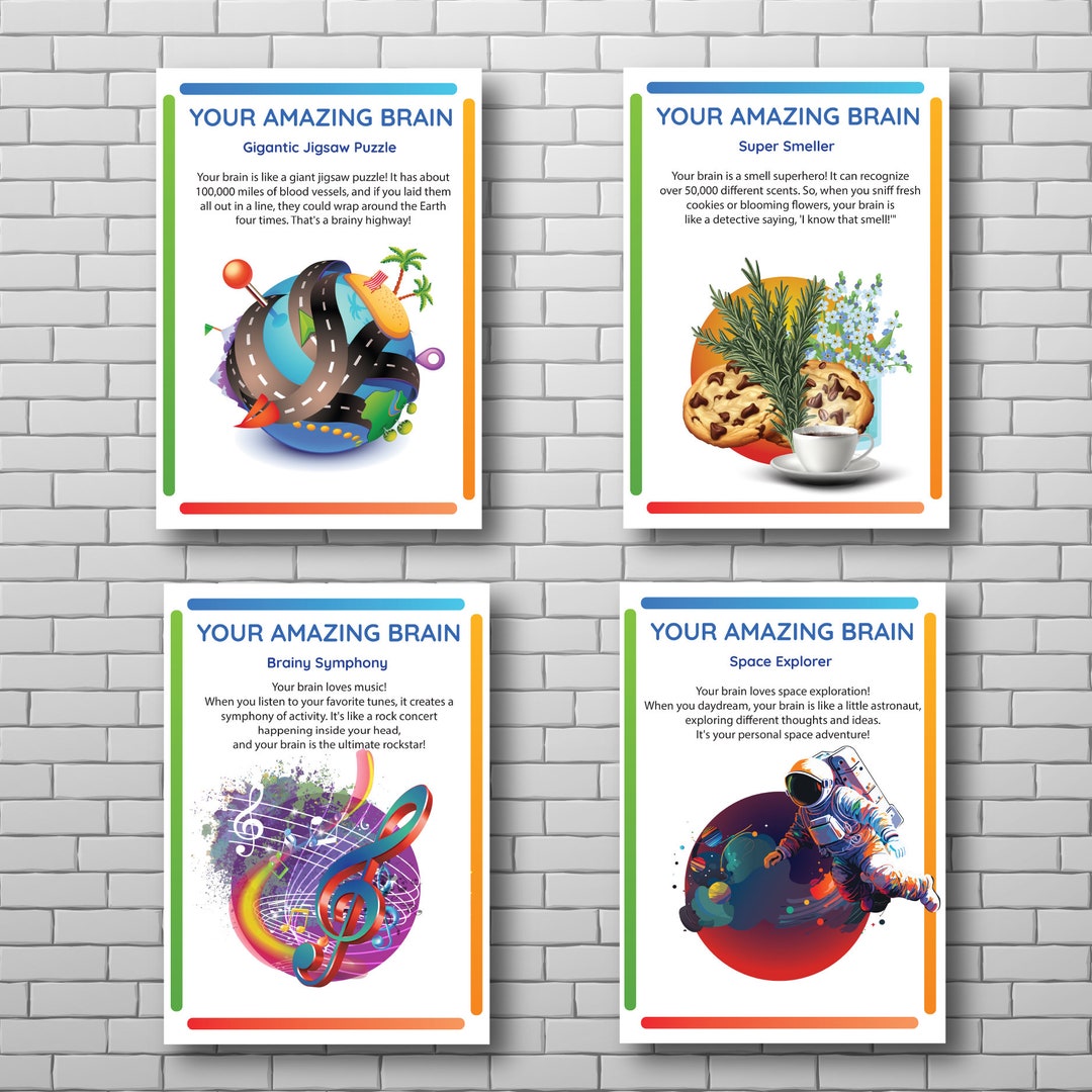 Brain Fact Posters Science Classroom Decor Teachers Resources Kids ...