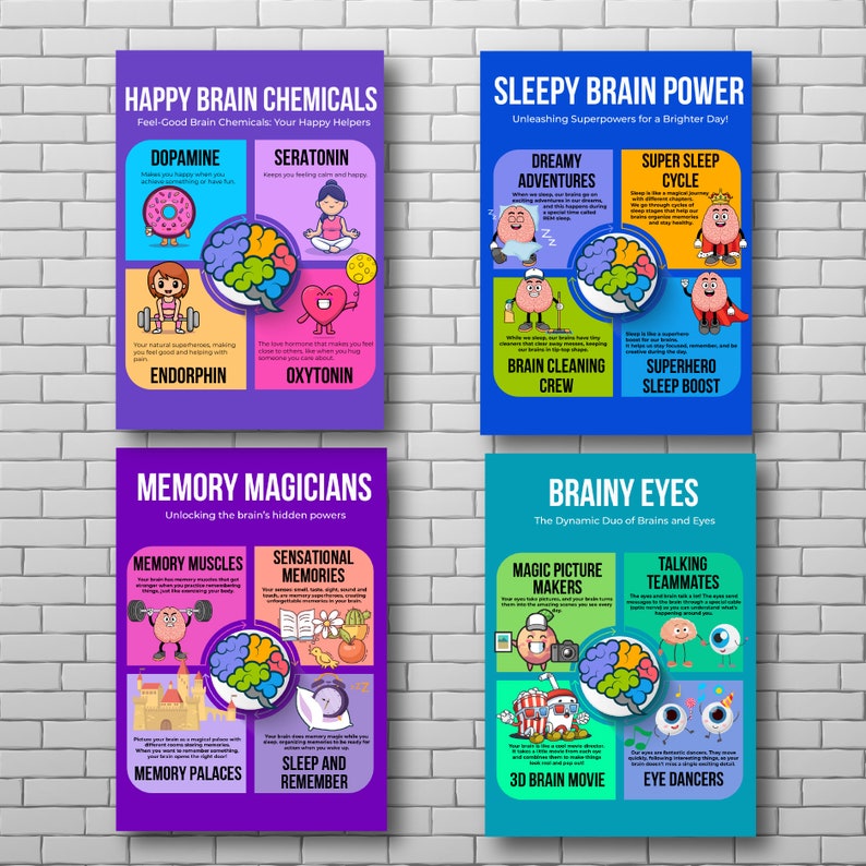 Anatomy Classroom Posters, the Brain Posters, Teachers Resources ...