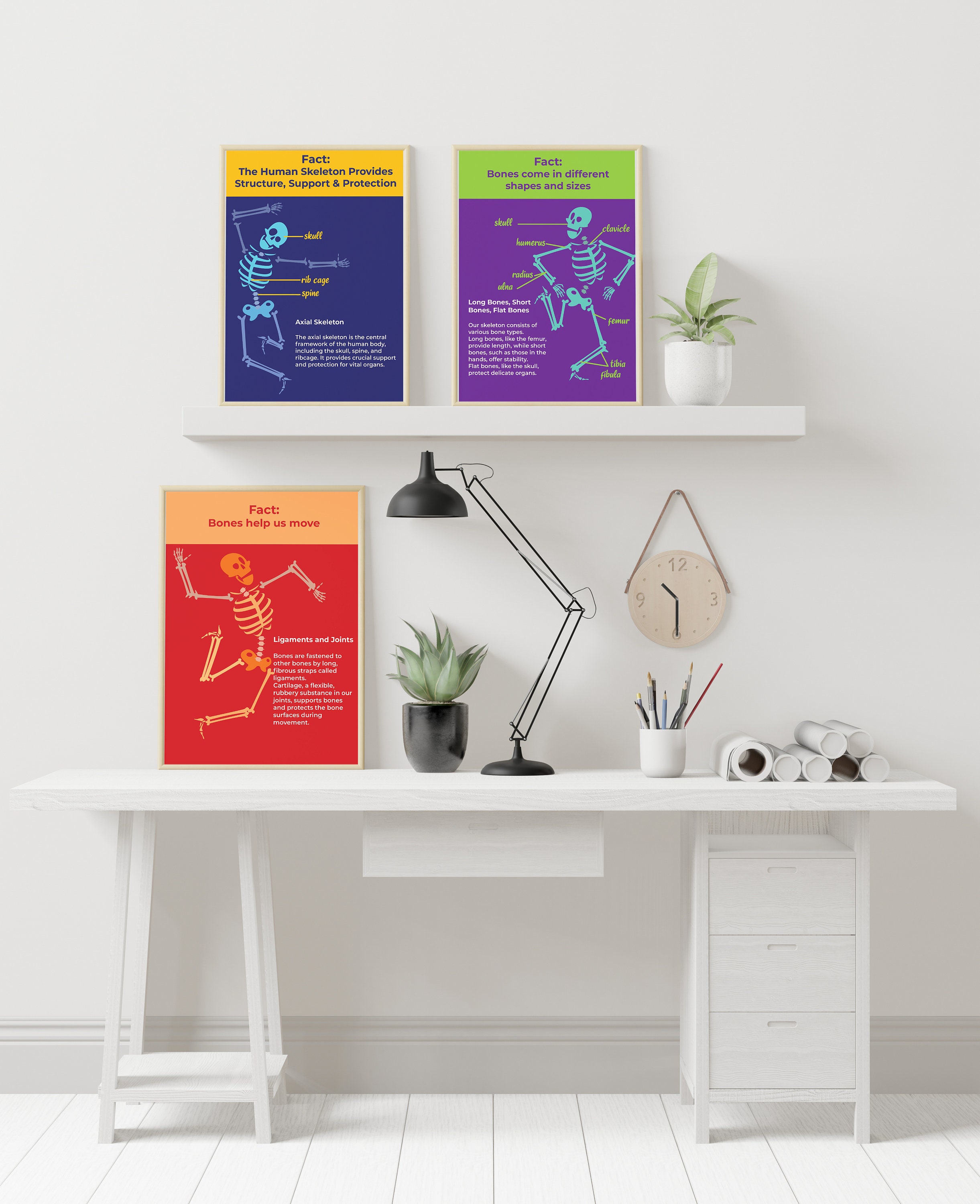 Funky Skeleton Anatomy Posters: Science Classroom Decor (digital ...