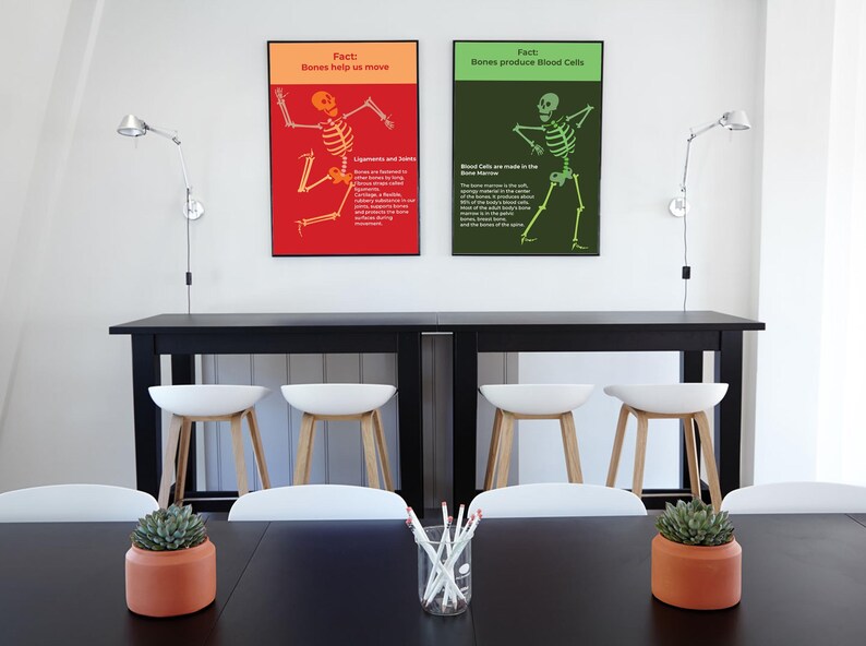 Funky Skeleton Anatomy Posters: Science Classroom Decor (digital ...