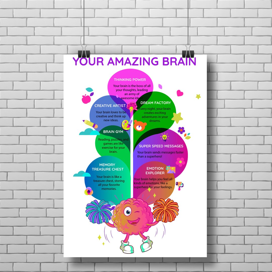 Science Poster, Classroom Decor, Brain Facts Poster, Health Awareness ...