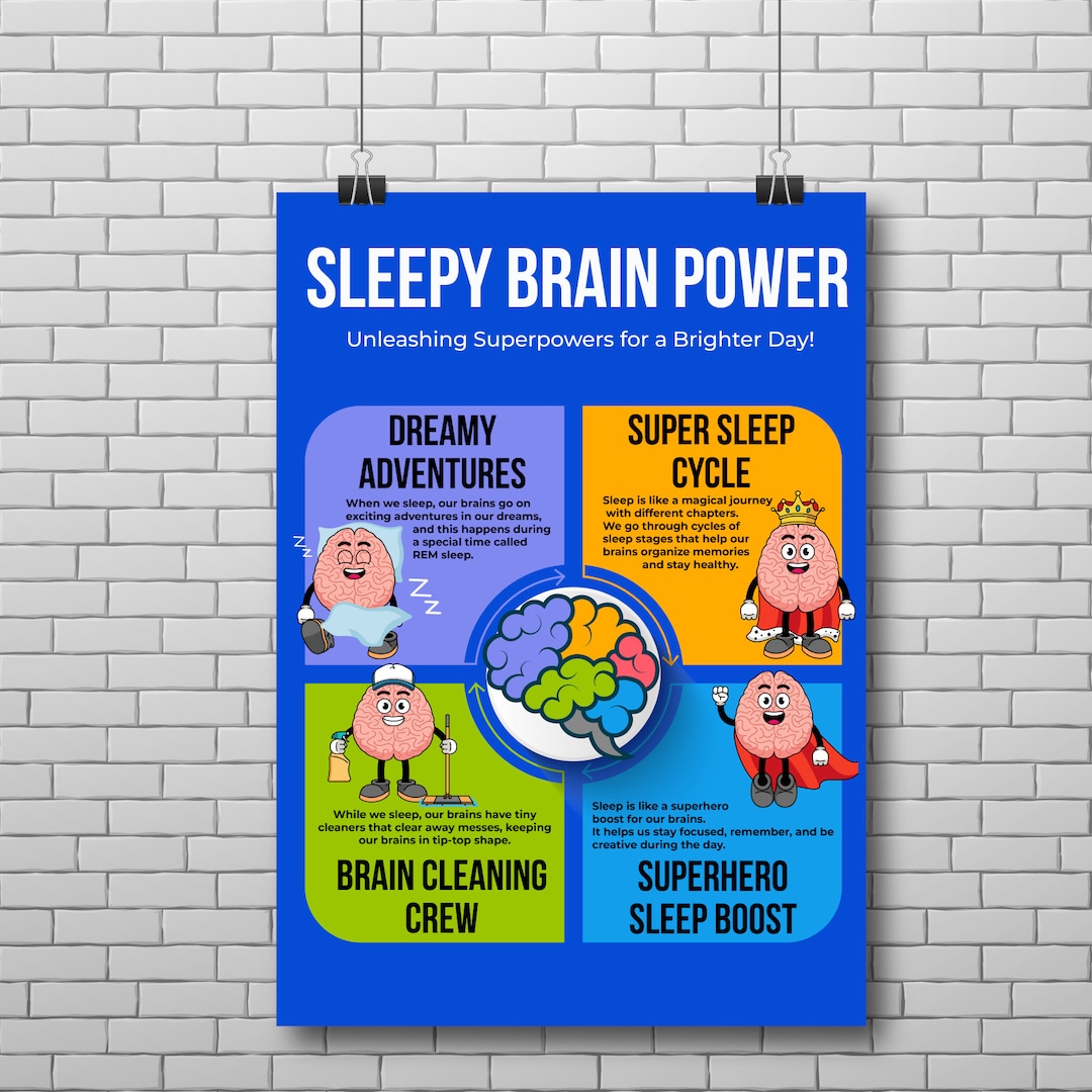 Sleep and Your Brain, Science Poster, Classroom Decor, Brain Facts ...