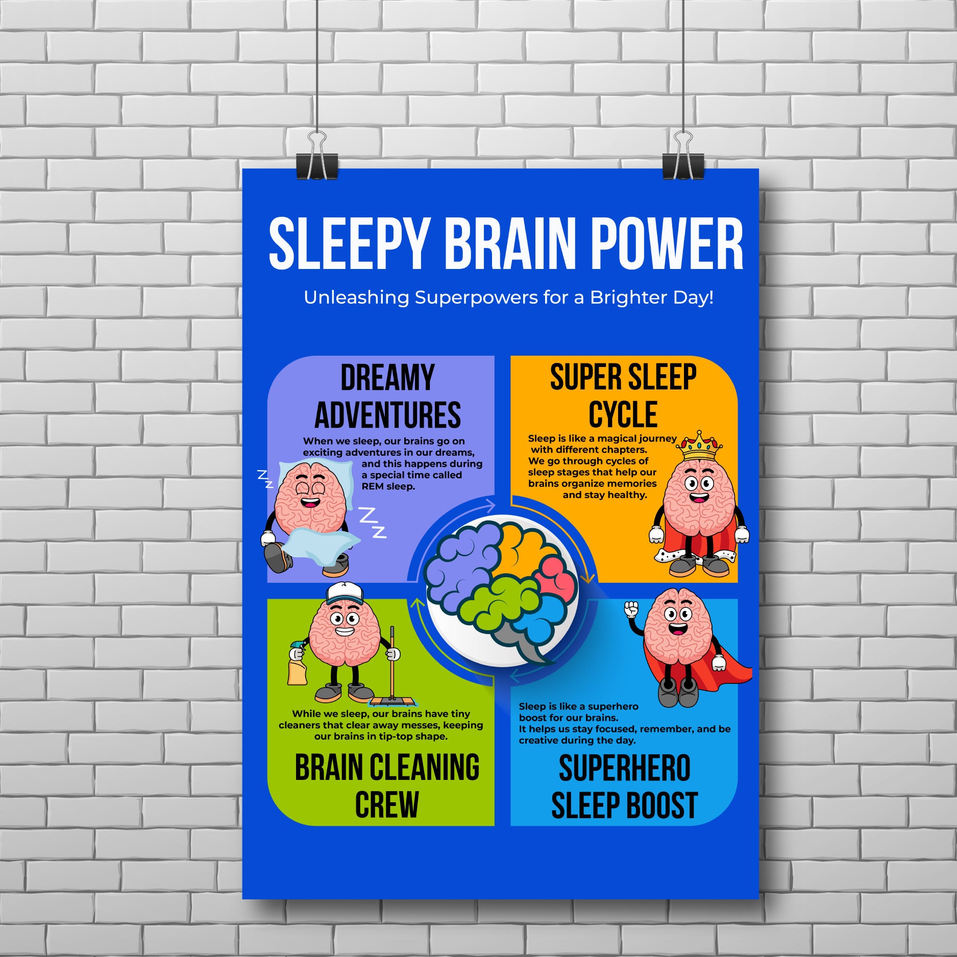Sleep and Your Brain, Science Poster, Classroom Decor, Brain Facts ...