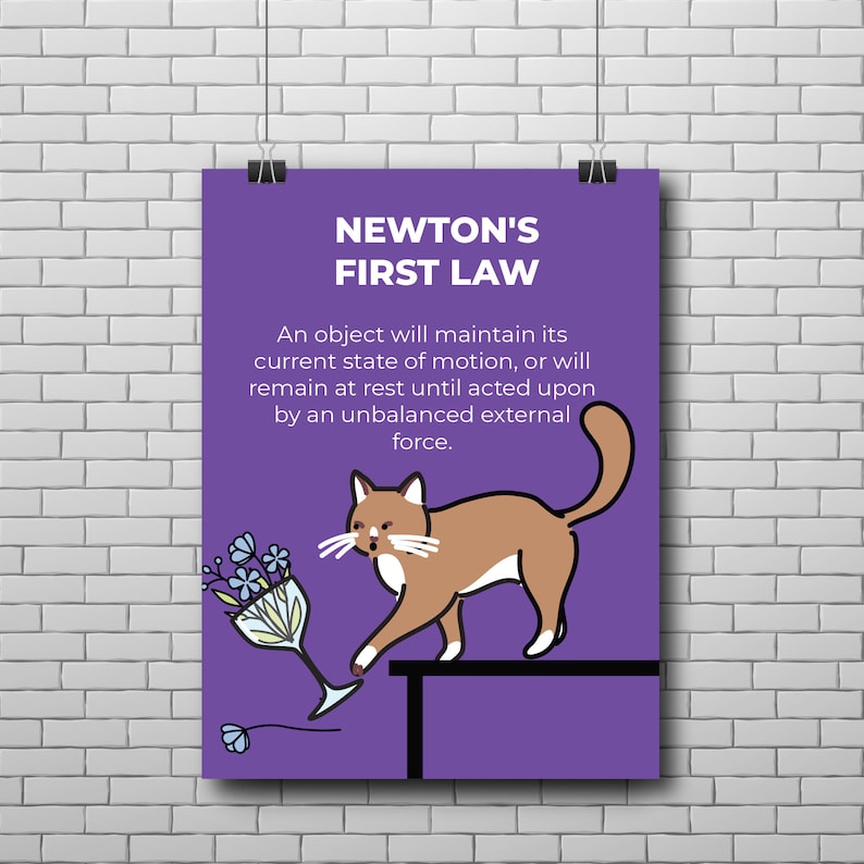 Newton's Laws of Motion Posters: Science Classroom Decor (digital ...