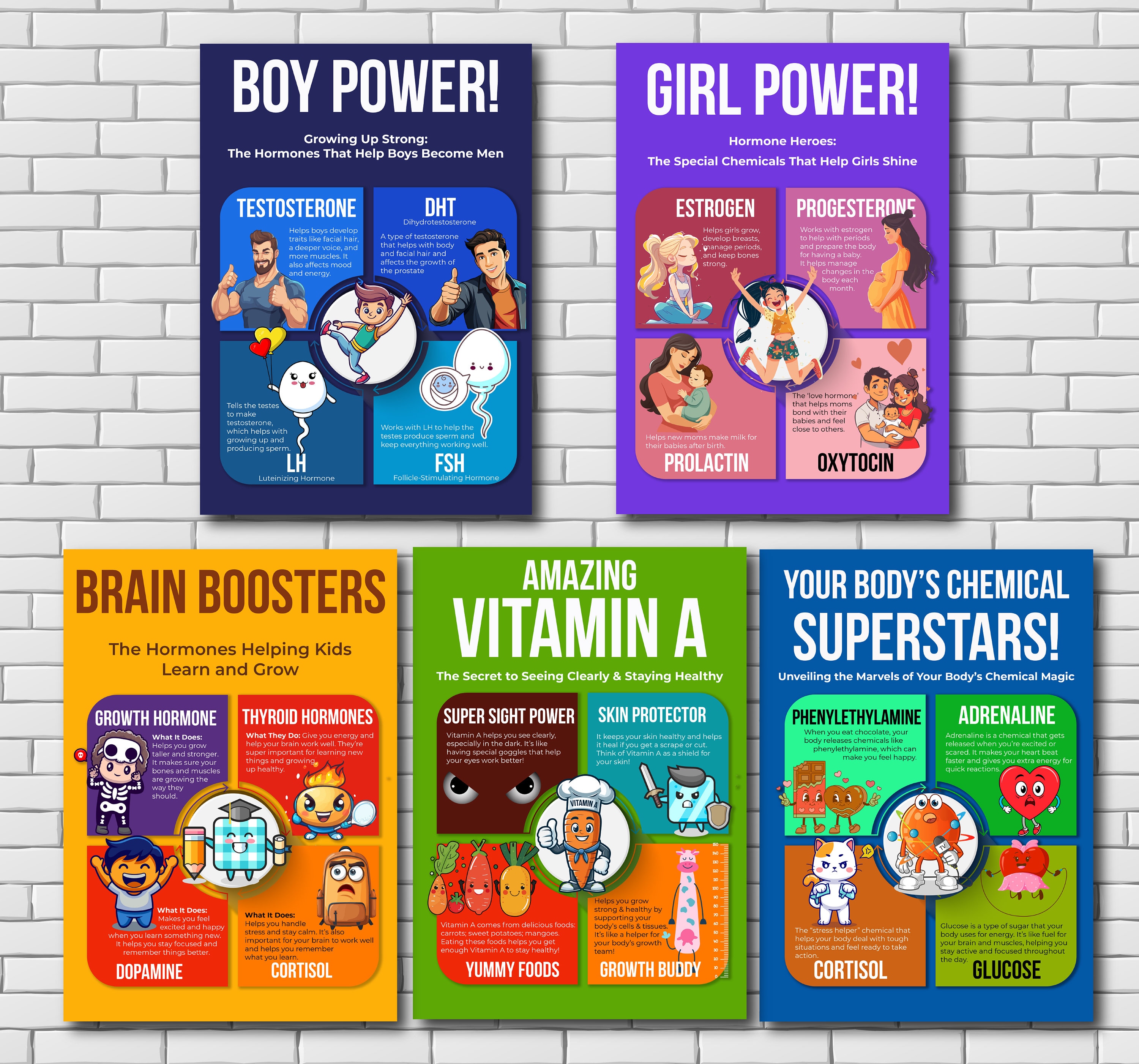 Biology Posters for Kids: Hormones & Vitamins Classroom Decor - Etsy
