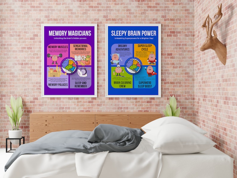 Anatomy Classroom Posters, the Brain Posters, Teachers Resources ...