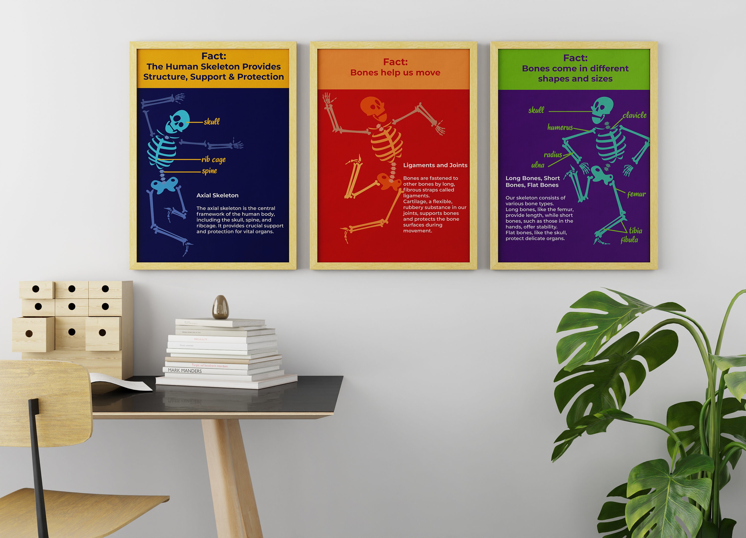 Funky Skeleton Anatomy Posters: Science Classroom Decor (digital ...