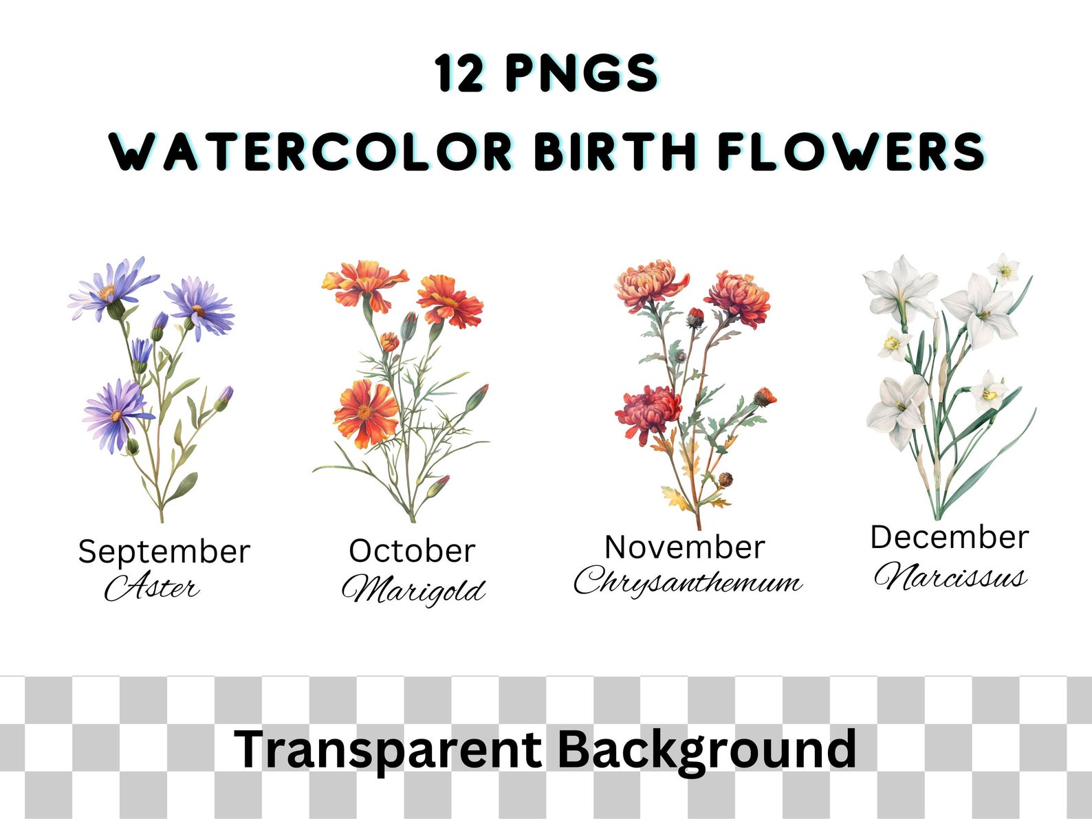 Watercolor Birth Flowers Clipart Bundle, Birth Month Flower Graphics ...