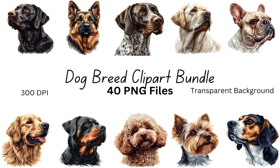 10 Dog Breed PNG Clipart Bundle, 40 PNG Files, 300 DPI, Dog Lover ...