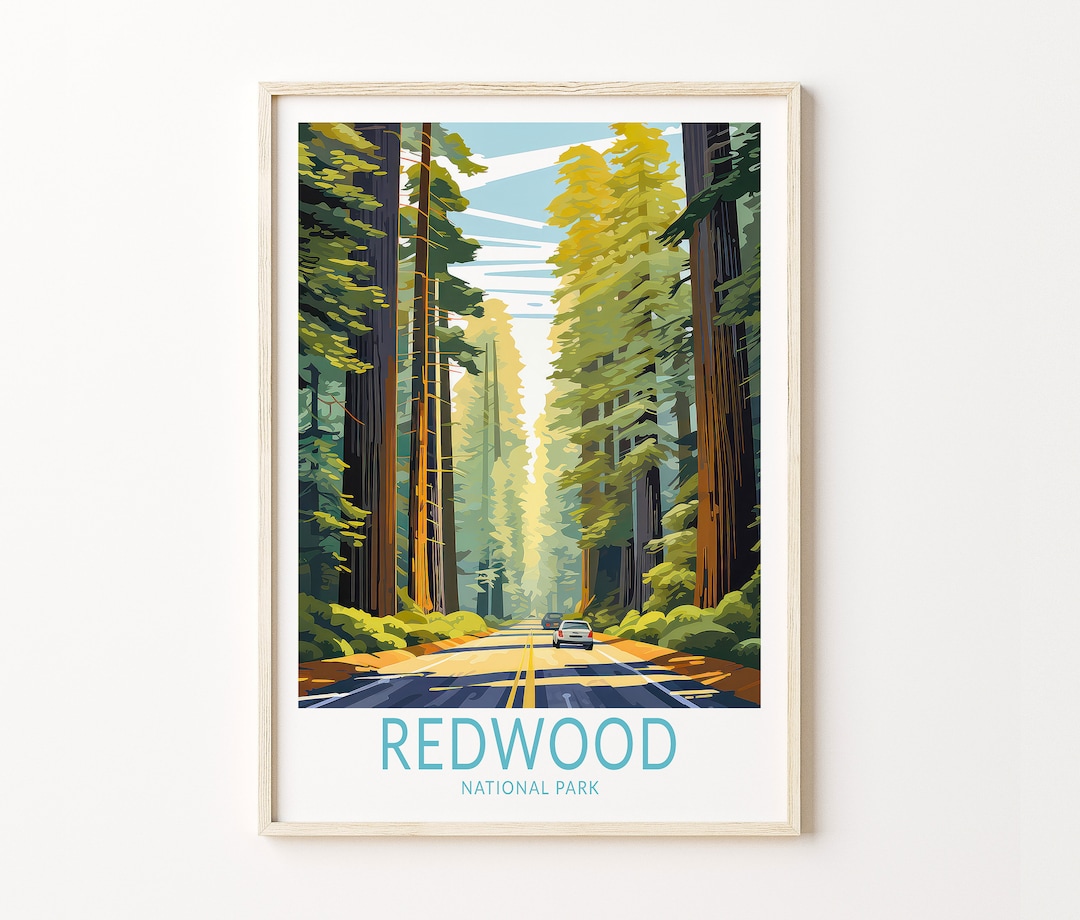 Redwood Poster, Redwood National Park Custom Travel Poster, Redwood ...
