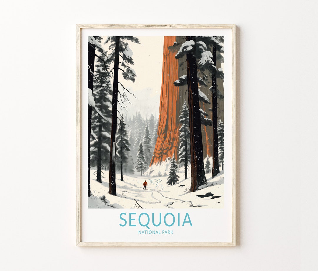 Sequoia National Parks Travel Print, Sequoia Poster Print, National ...