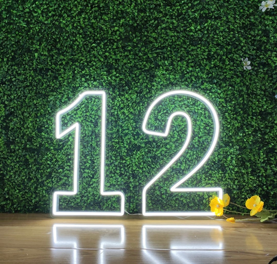 Custom Numbers Neon Sign, Birthday Decor, Trendy Event Decor, Outdoor ...
