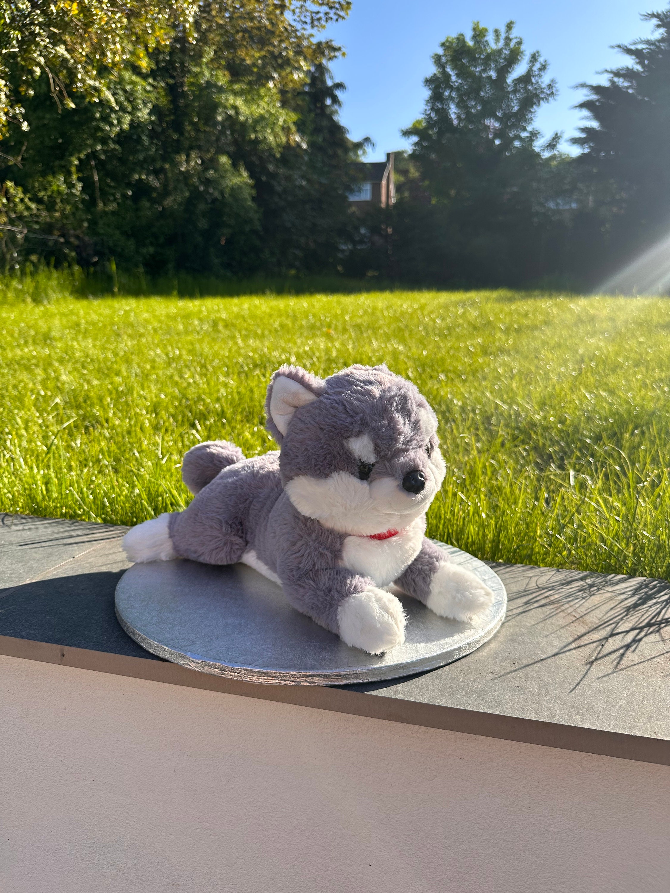 Cute Shiba Inu Plush Kawaii Shiba Inu Plush Adorable Shiba Etsy
