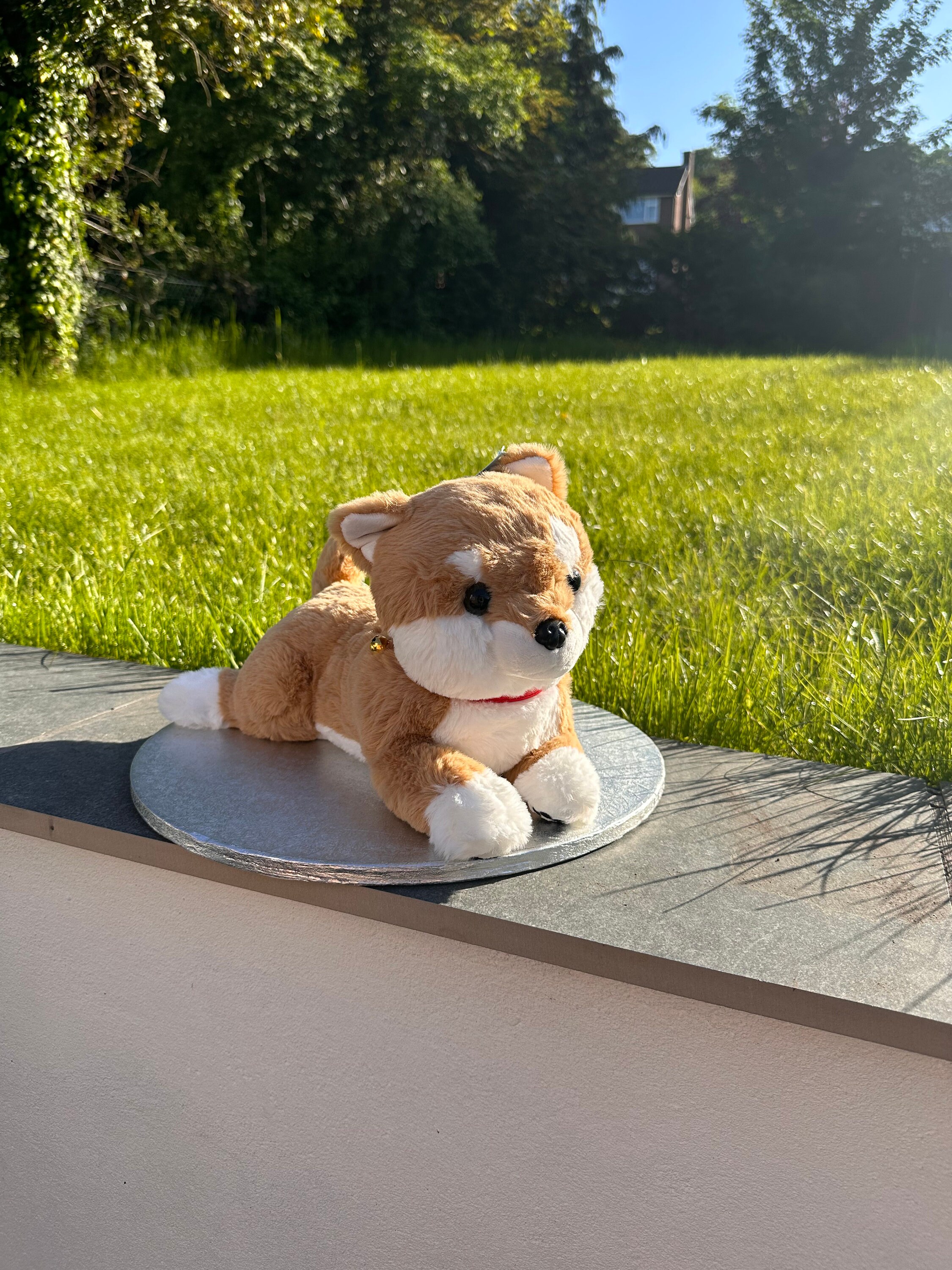 Cute Shiba Inu Plush Kawaii Shiba Inu Plush Adorable Shiba Etsy