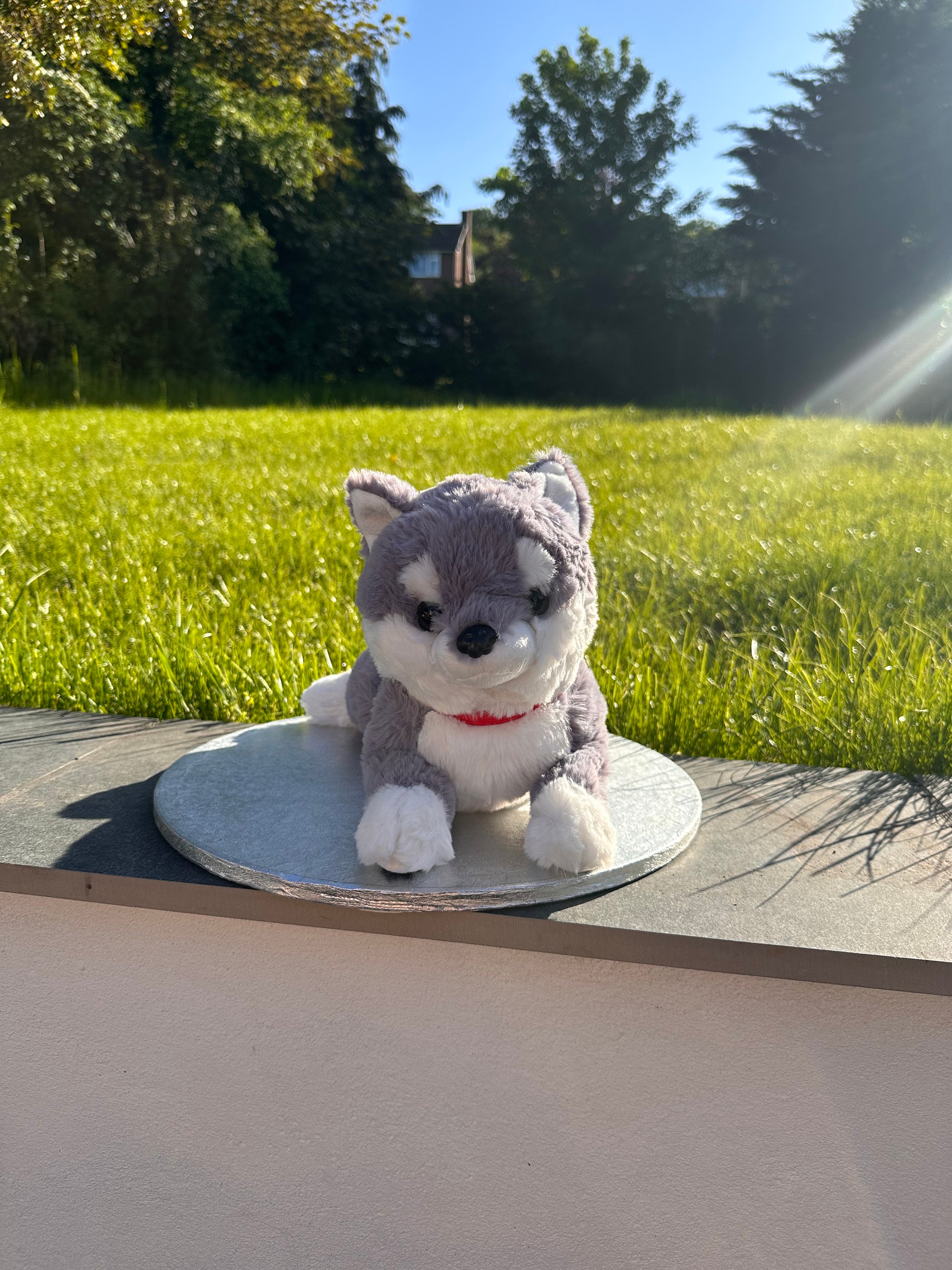 Cute Shiba Inu Plush Kawaii Shiba Inu Plush Adorable Shiba Etsy