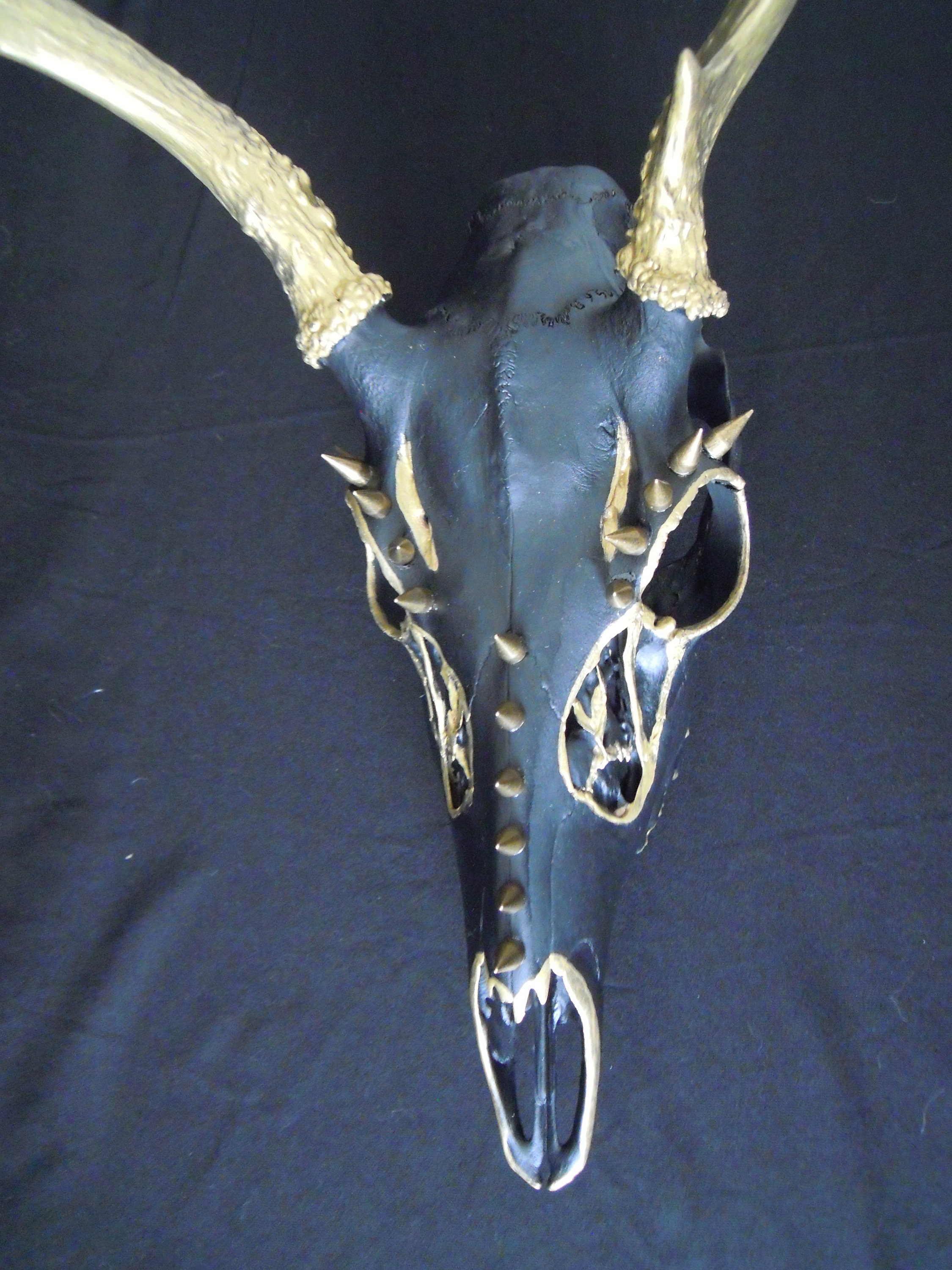 Hand Painted Real Deer Skull Black and Gold With Spikes. Witchy, Pagan ...