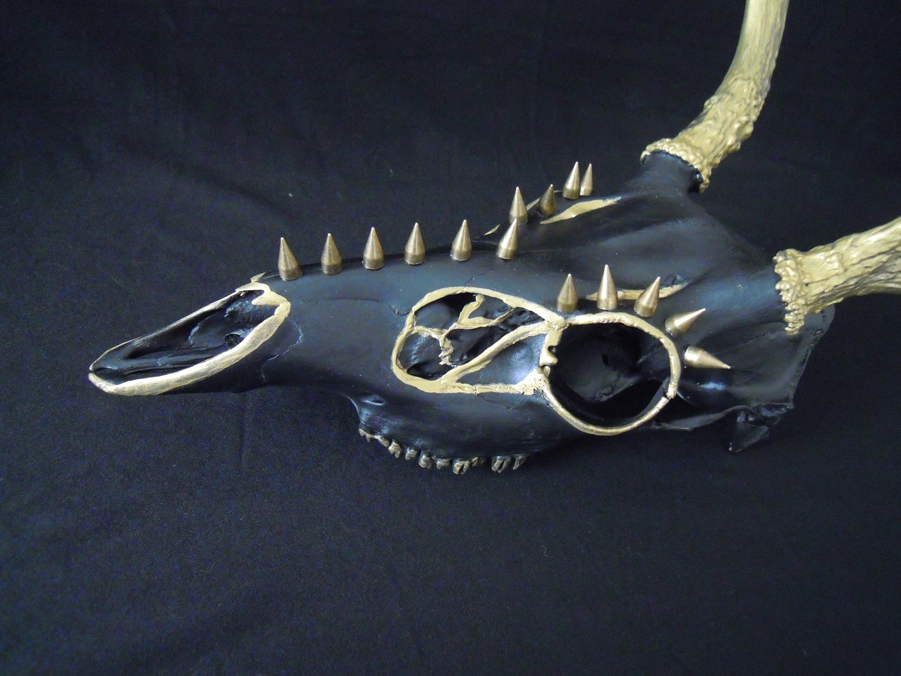 Hand Painted Real Deer Skull Black and Gold With Spikes. Witchy, Pagan ...