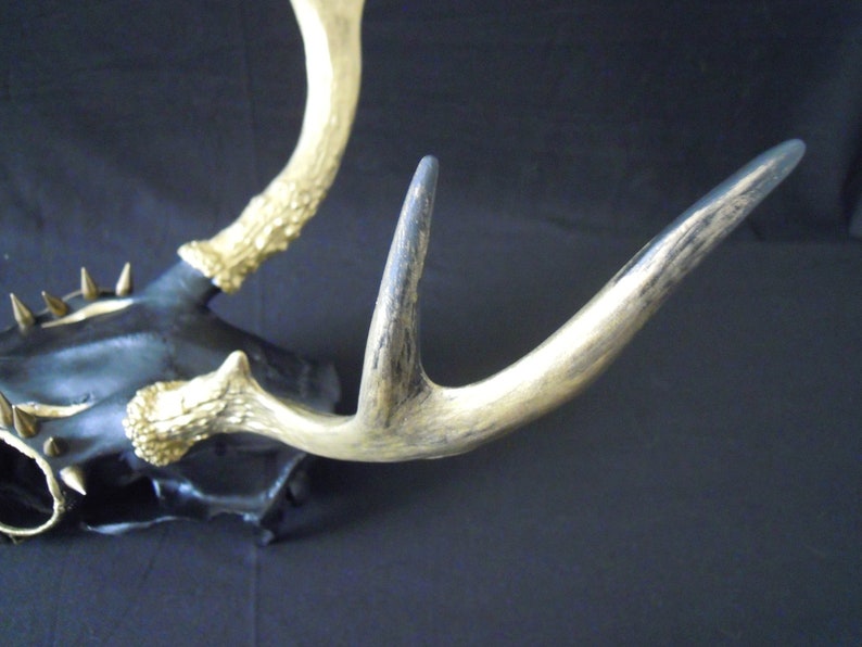 Hand Painted Real Deer Skull Black and Gold With Spikes. Witchy, Pagan ...
