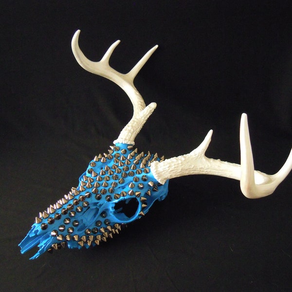 Painted Animal Skull - Etsy