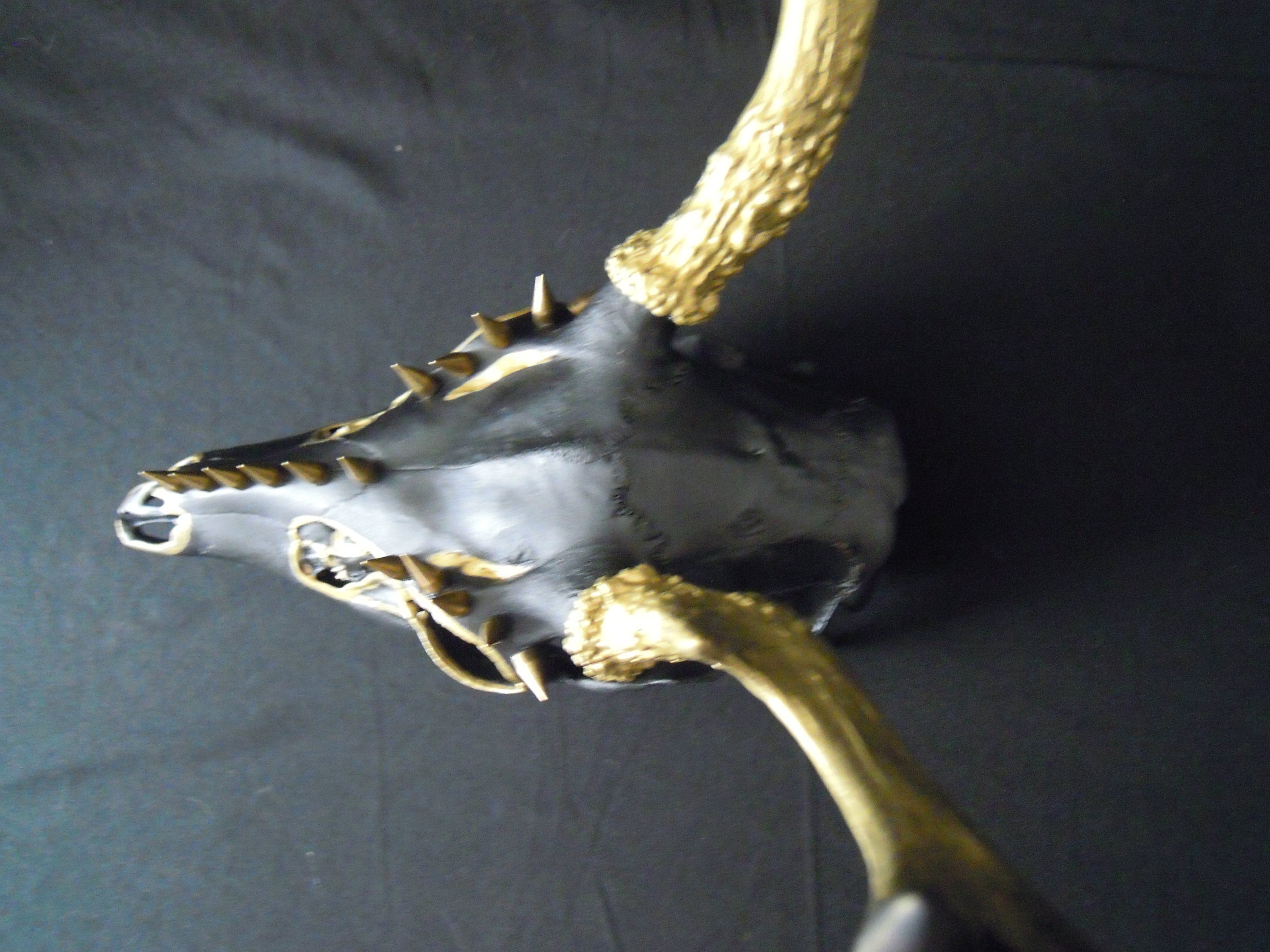 Hand Painted Real Deer Skull Black and Gold With Spikes. Witchy, Pagan ...
