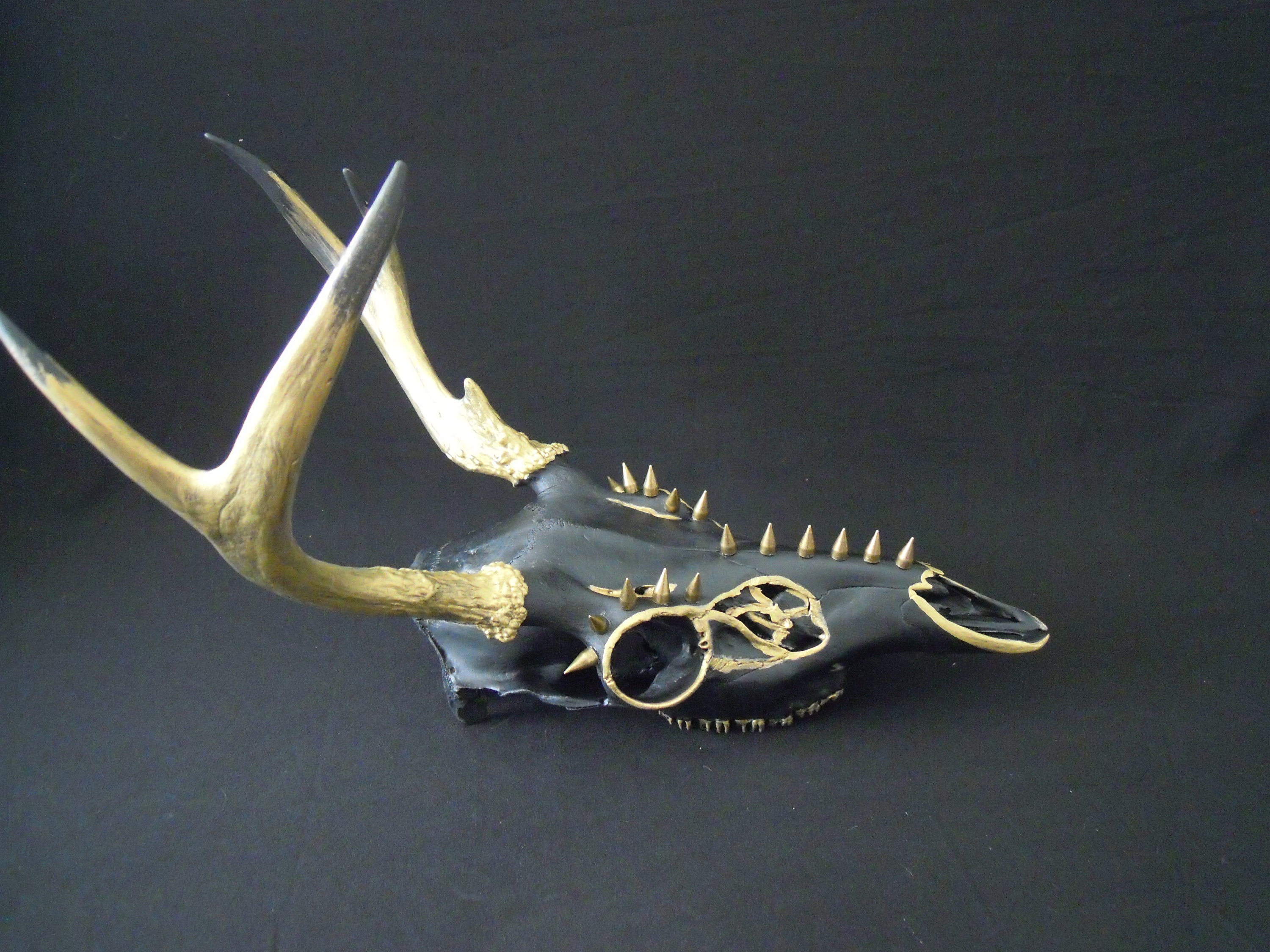 Hand Painted Real Deer Skull Black and Gold With Spikes. Witchy, Pagan ...