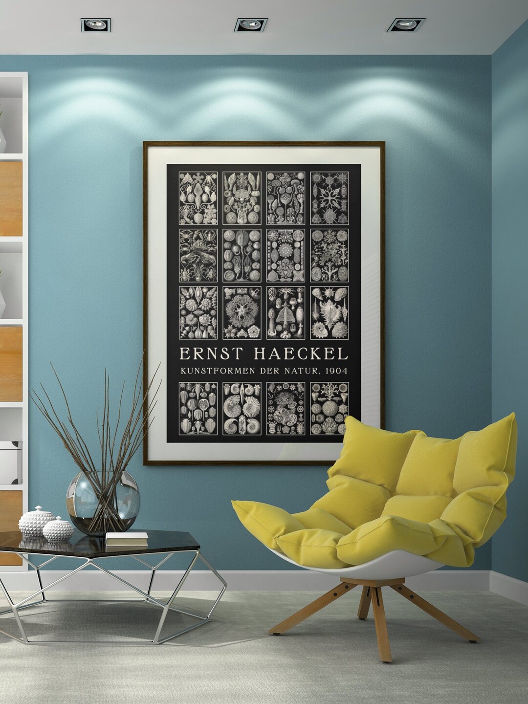 Ernst Haeckel, Kunstformen Der Natur, Huge 24x36 Inch Poster Print, 16 ...