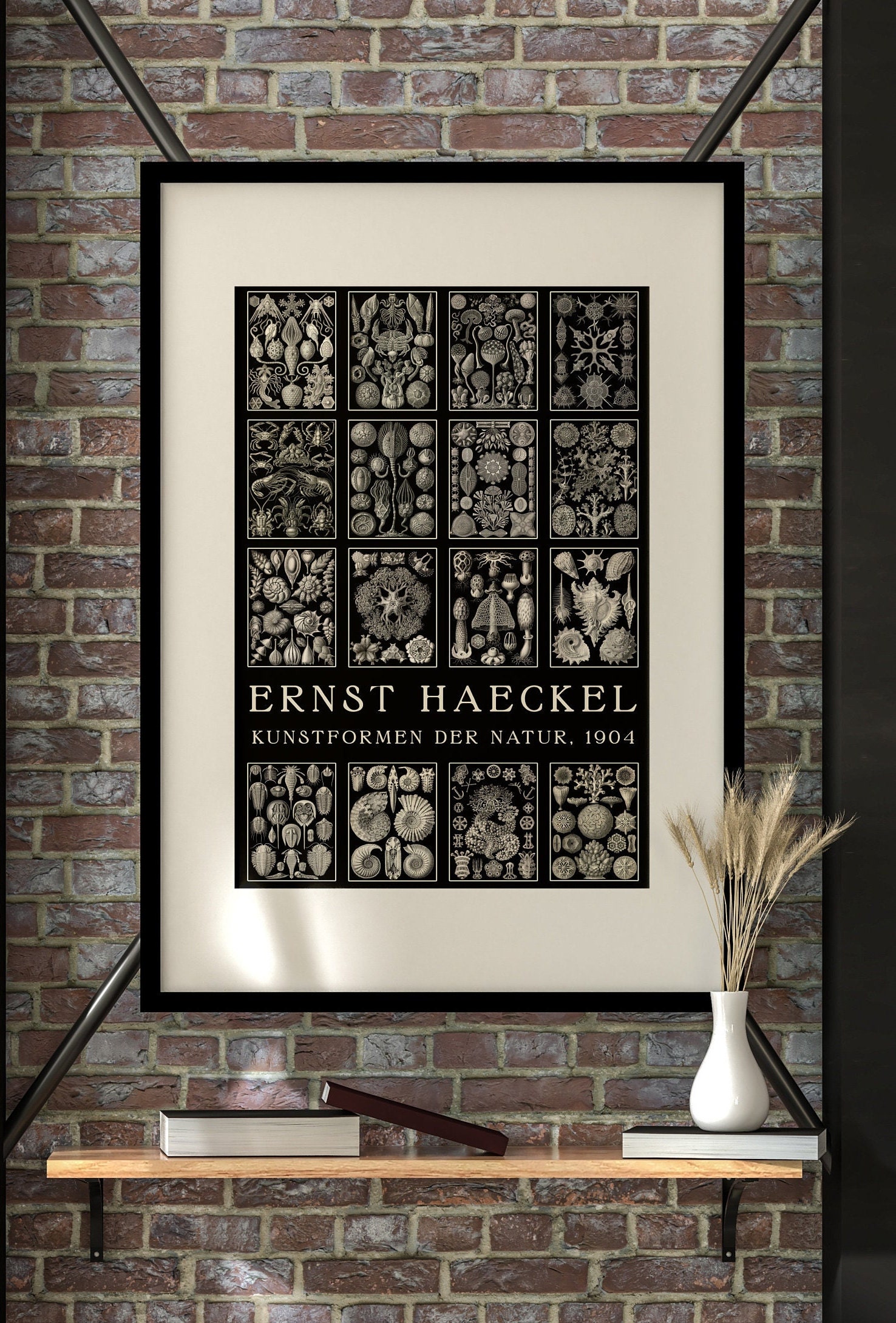 Ernst Haeckel, Kunstformen Der Natur, Huge 24x36 Inch Poster Print, 16 ...