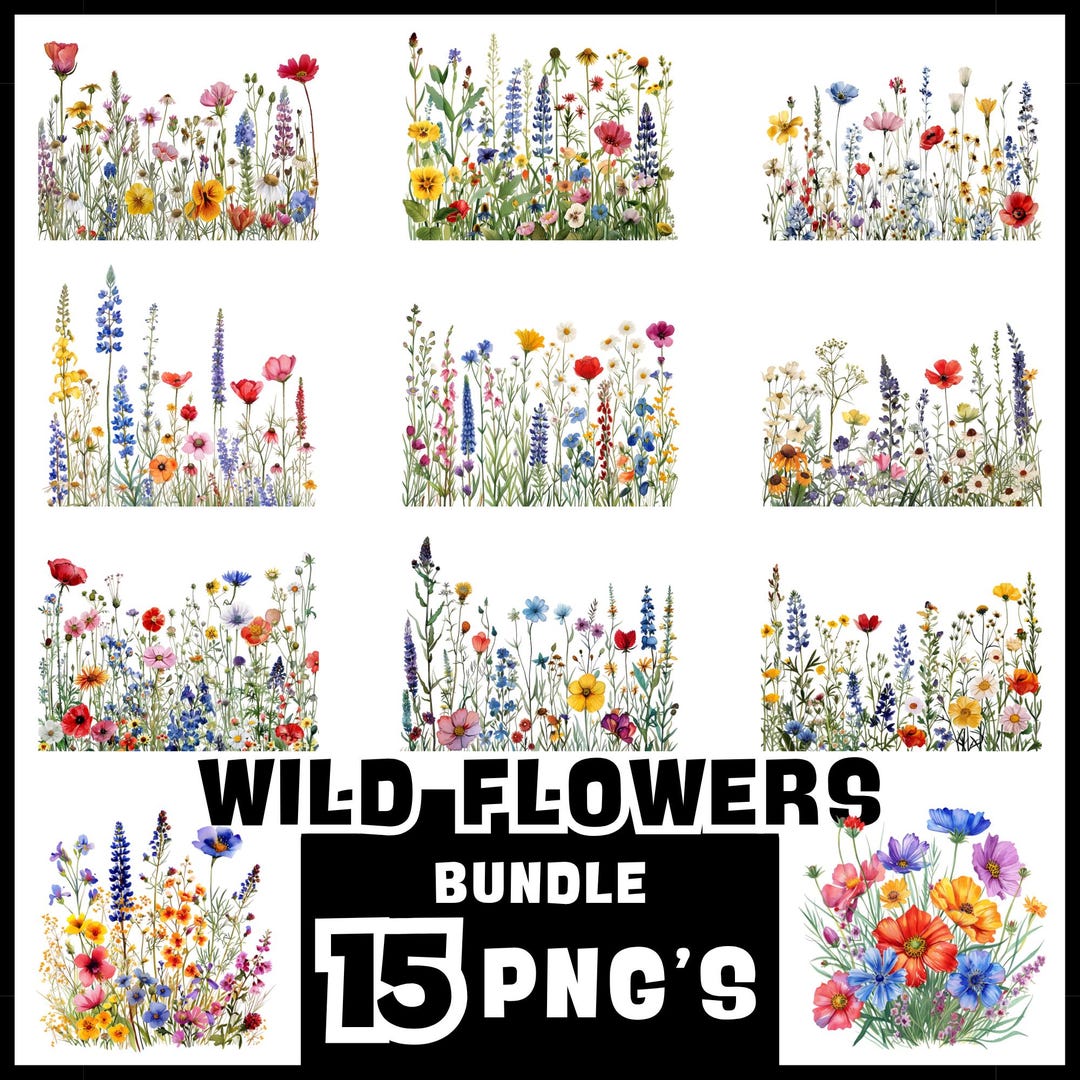 Wildflower PNG Bundle: Botanical Sketch Clipart (15 Pngs) (digital ...