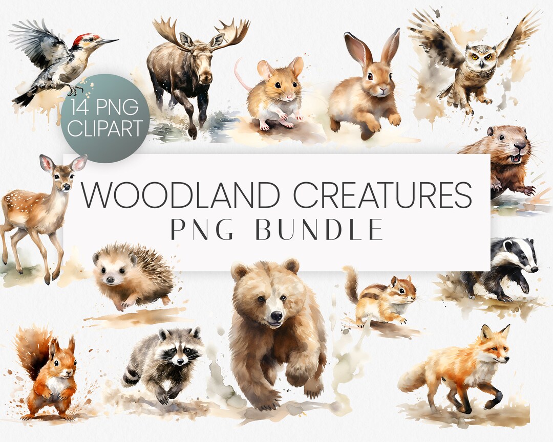 Woodland Animals Clipart Bundle, Animal Clipart for Commercial Use ...