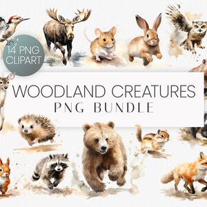 Woodland Animals Clipart Bundle, Animal Clipart for Commercial Use ...
