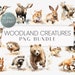 Woodland Animals Clipart Bundle, Animal Clipart for Commercial Use ...