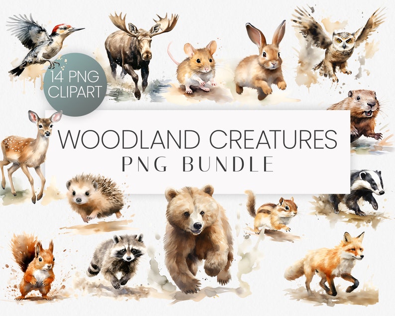 Woodland Animals Clipart Bundle, Animal Clipart for Commercial Use ...