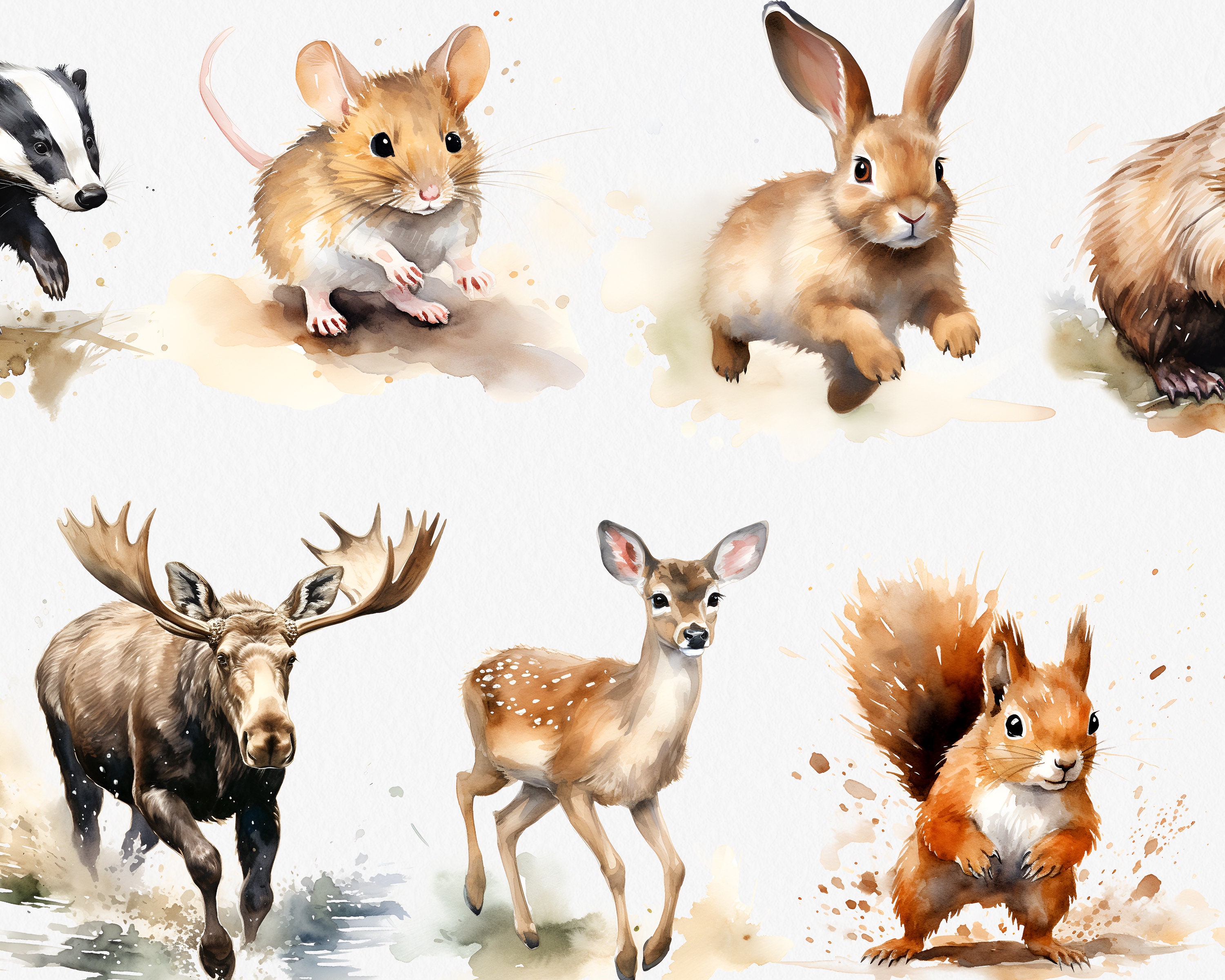 Woodland Animals Clipart Bundle, Animal Clipart for Commercial Use ...