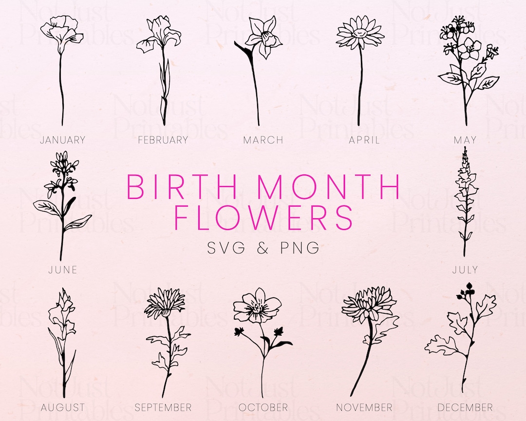 Birth Month Flower Svg Bundle Birth Month Flower Flower Svg - Etsy