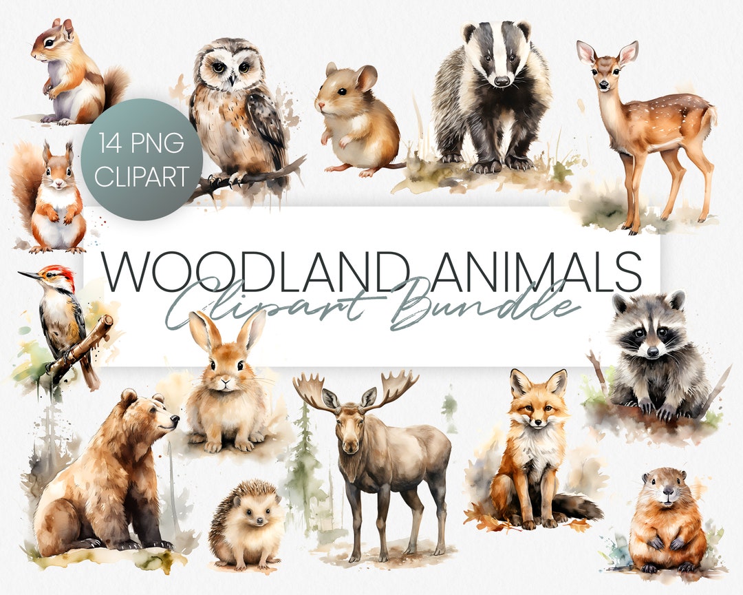 Woodland Animals Clipart Bundle, Animal Clipart for Commercial Use ...