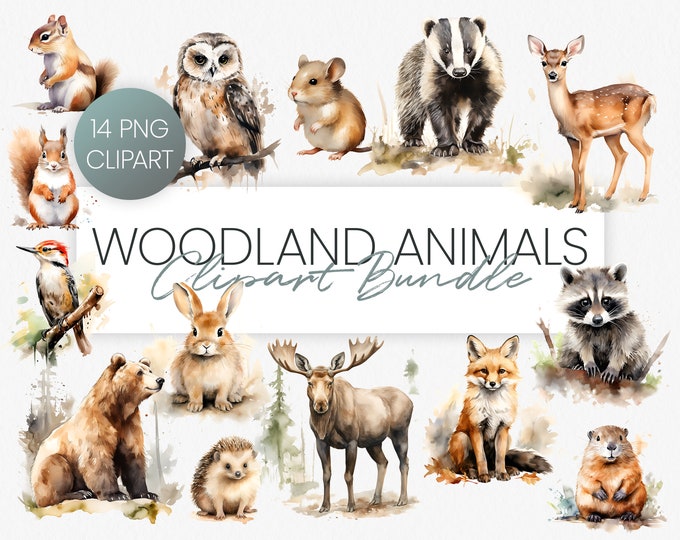 Woodland Animals Clipart Bundle, Animal Clipart for Commercial Use ...
