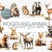 Woodland Animals Clipart Bundle, Animal Clipart for Commercial Use ...