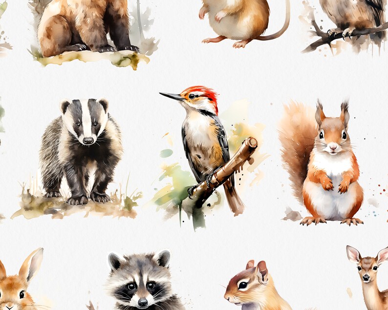Woodland Animals Clipart Bundle, Animal Clipart for Commercial Use ...