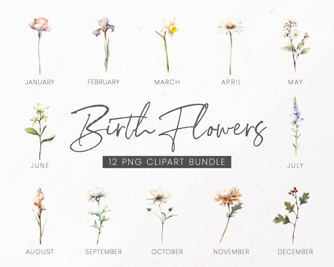 Birth Flower Clipart, Birth Month Flowers, Watercolor Flower Clipart ...