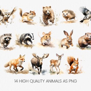 Woodland Animals Clipart Bundle, Animal Clipart for Commercial Use ...